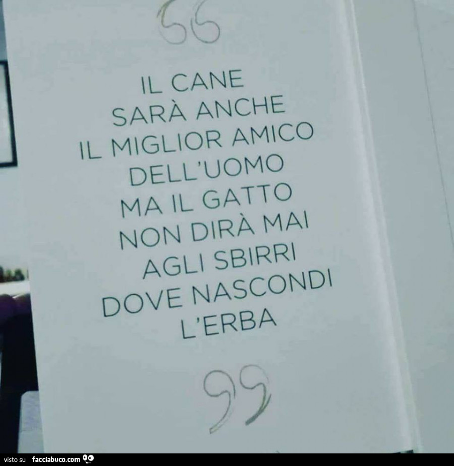 Il cane sarà anche il miglior amico dell'uomo ma il gatto non dirà mai ... Il cane sarà anche il miglior amico dell'uomo ma il gatto non dirà mai ...