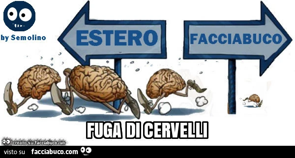 Fuga di cervelli - Facciabuco.com