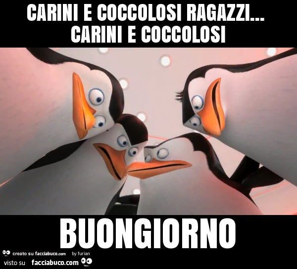 Carini e coccolosi ragazzi… carini e coccolosi buongiorno - Facciabuco.com
