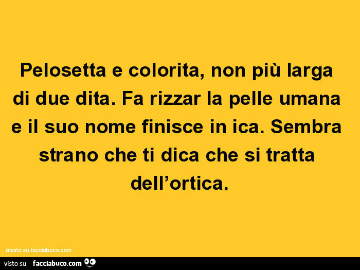 Pelosetta e colorita, non più larga di due dita. Fa rizzar la pelle ...